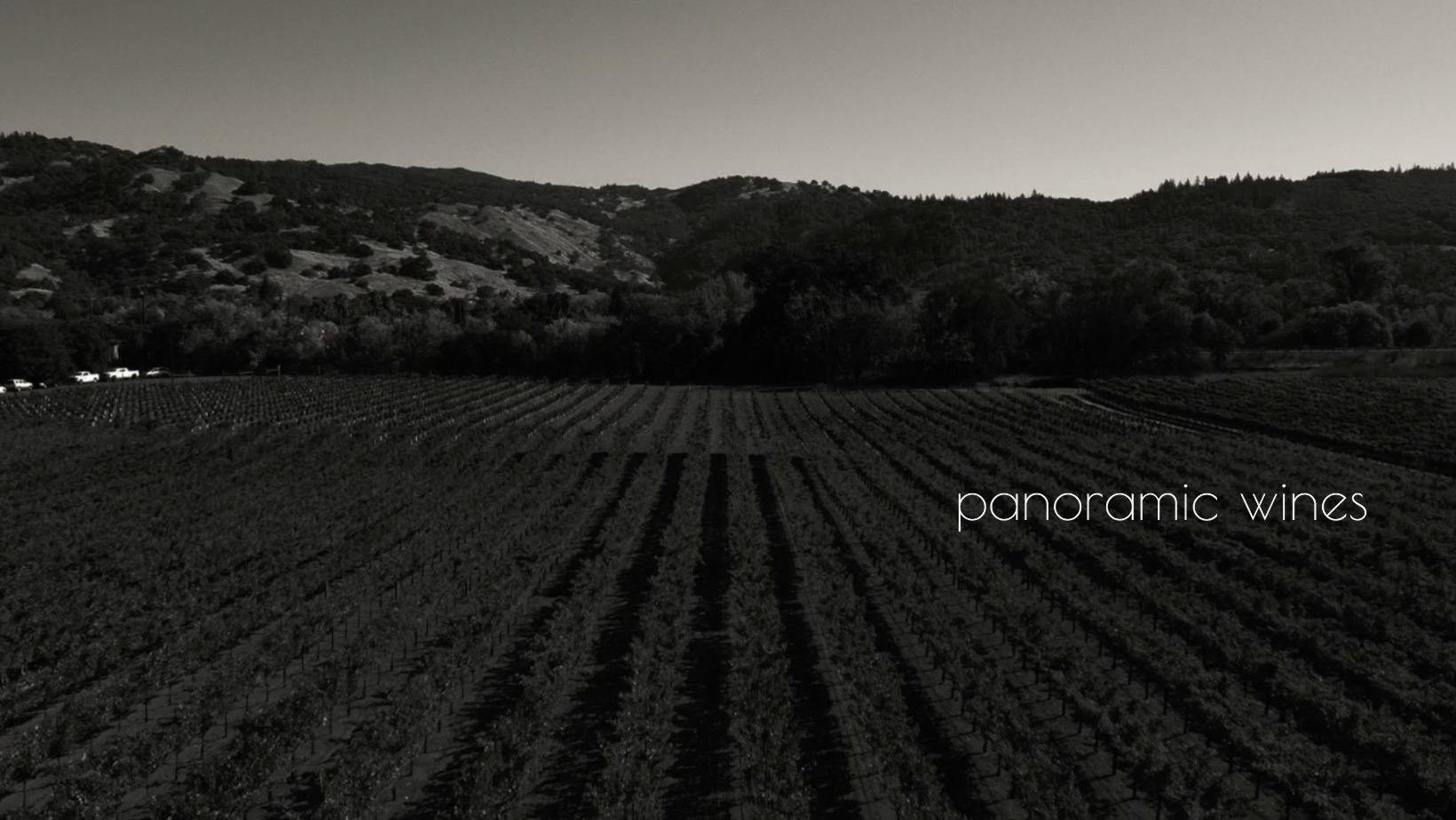 Panoramic Wines